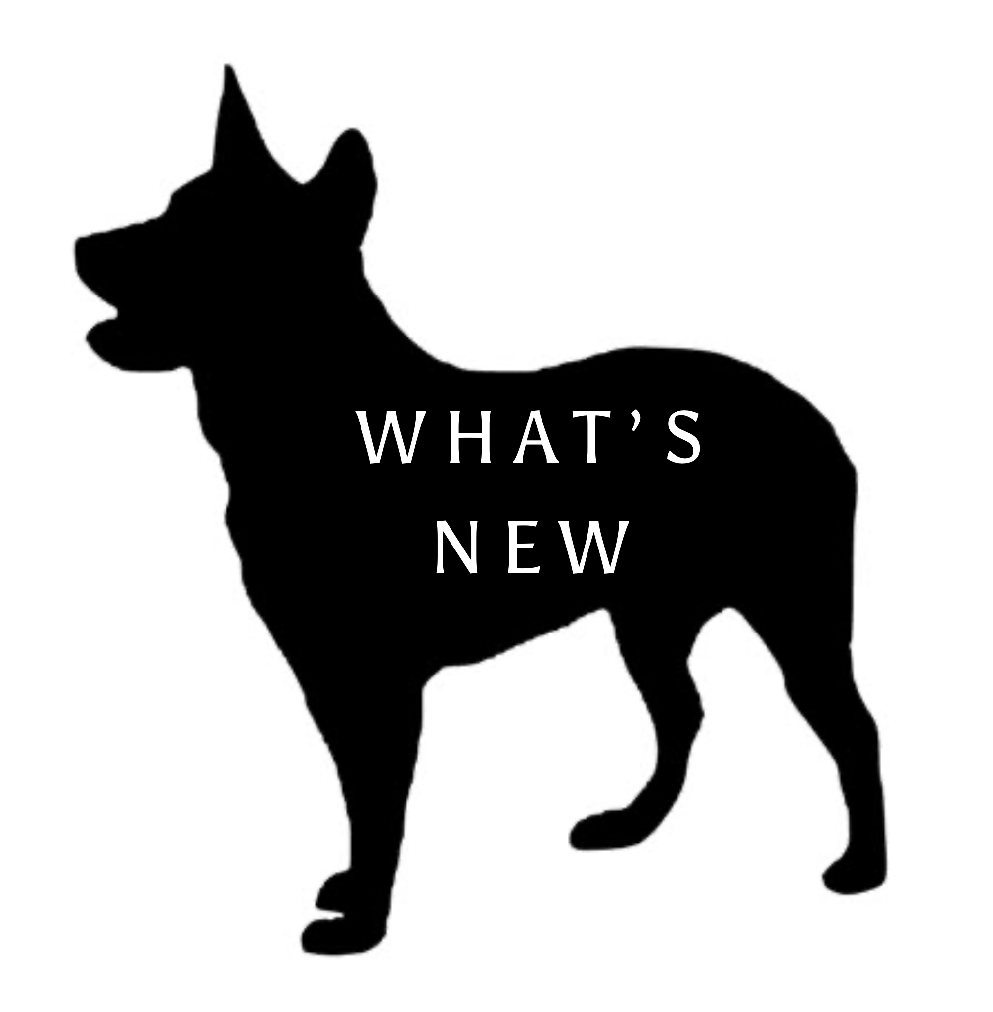 New arrivals – Detroit Dingo Design